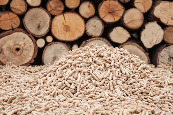 Pellet chiaro o scuro: cosa scegliere? - Garden Zanet